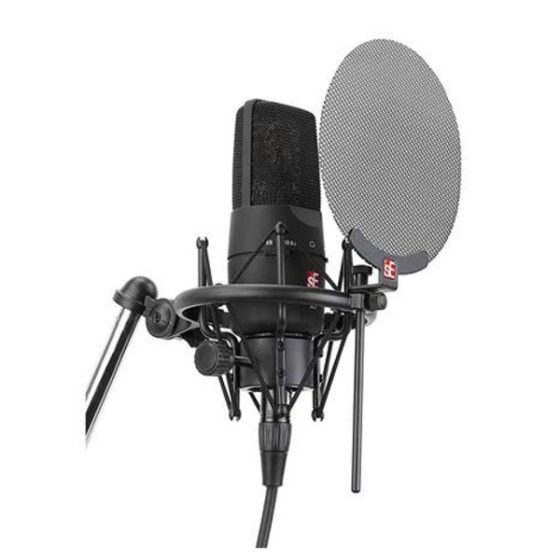 Behringer B5 - Microfono Condensador - Blupoint Music